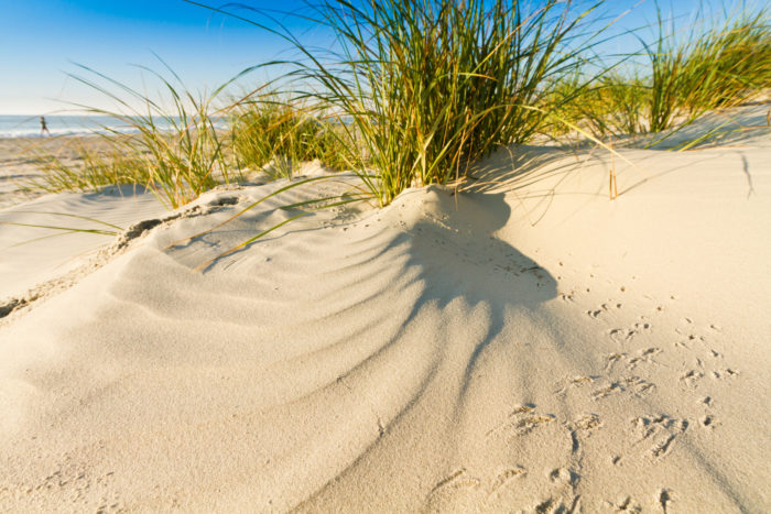 10 Things to Do in Pawleys Island in September - Pawleys Island